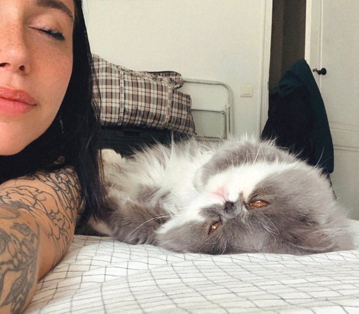 AVA MIND || 🥡 on Twitter: "@Shisheyu https://t.co/VIPaBYcDZp" / Twitter