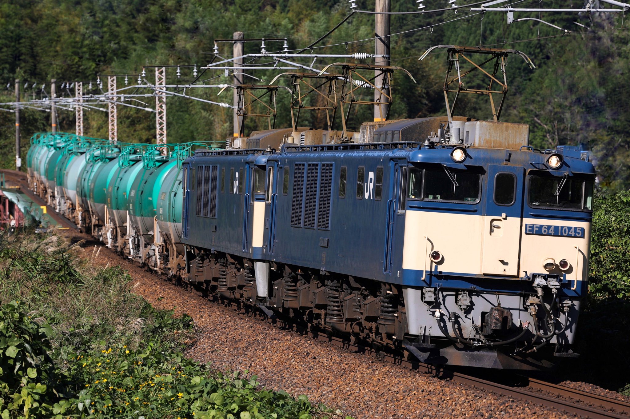 うめぼし on Twitter: "2022/10/1 9089レ EF64-1045 + EF64-1023 + タキ11B お天気に恵まれ、最高の光を浴びて通過していきました。 https ...