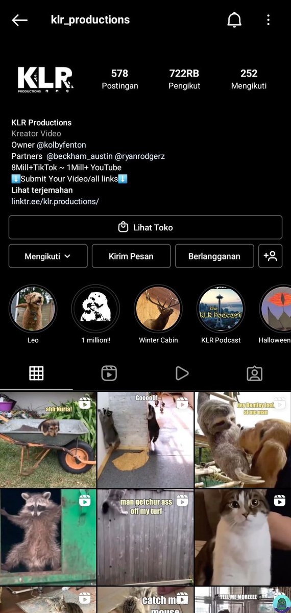 TanyarlㅡDilarang Rep LINK AFF‼ on Twitter: "💚 ini akun bikin good mood banget😭💖"