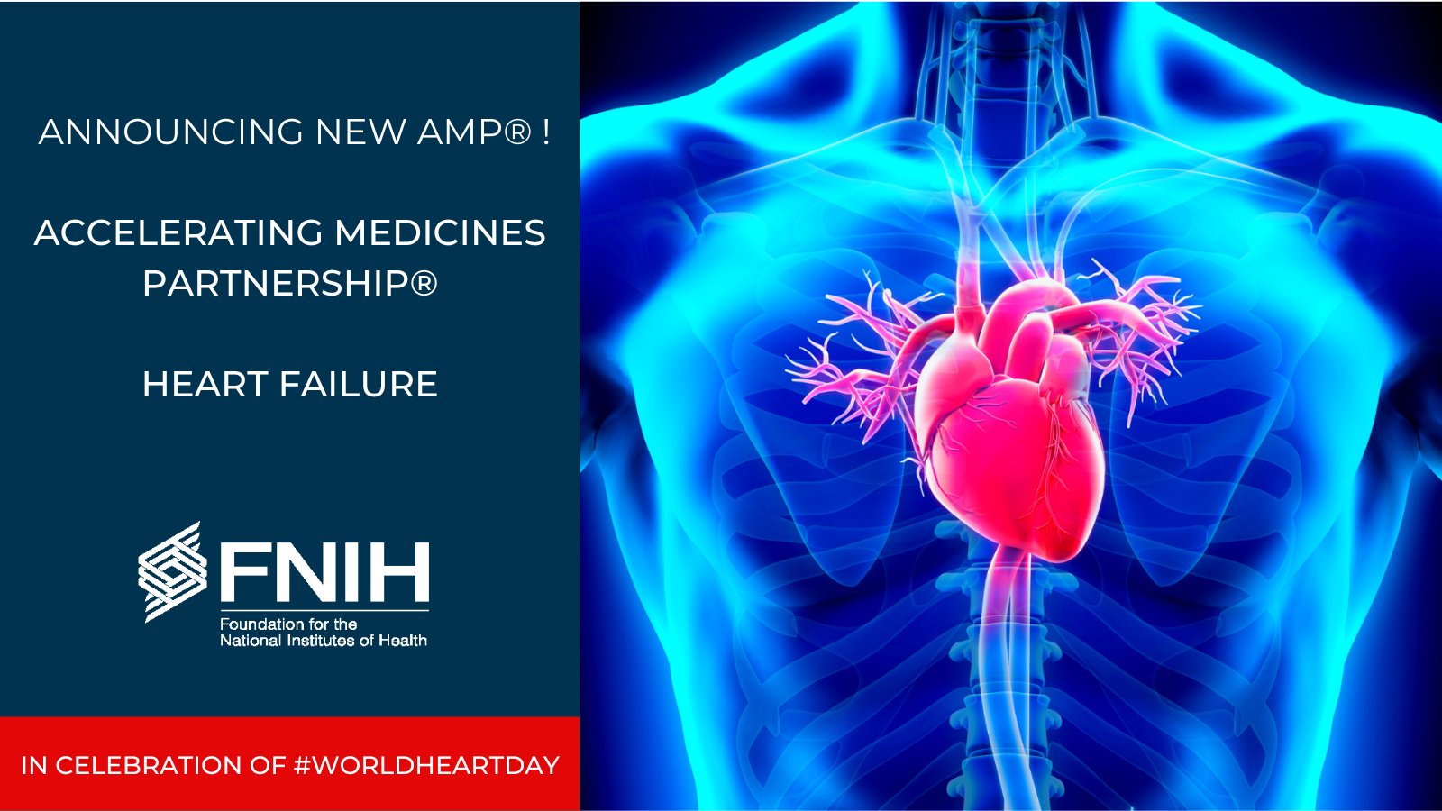Ejection Fraction The Treatment Of Heart Failure With Reduced Ejection