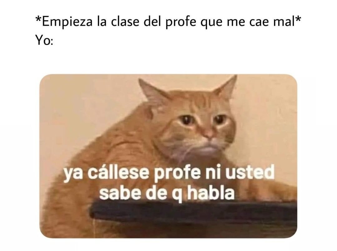 Usted Memes