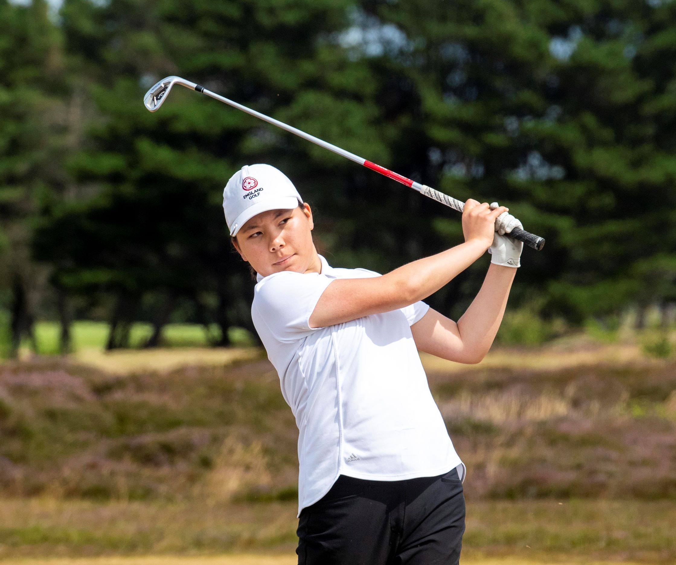 Amateur Golf Bible (@GolfBible) / Twitter