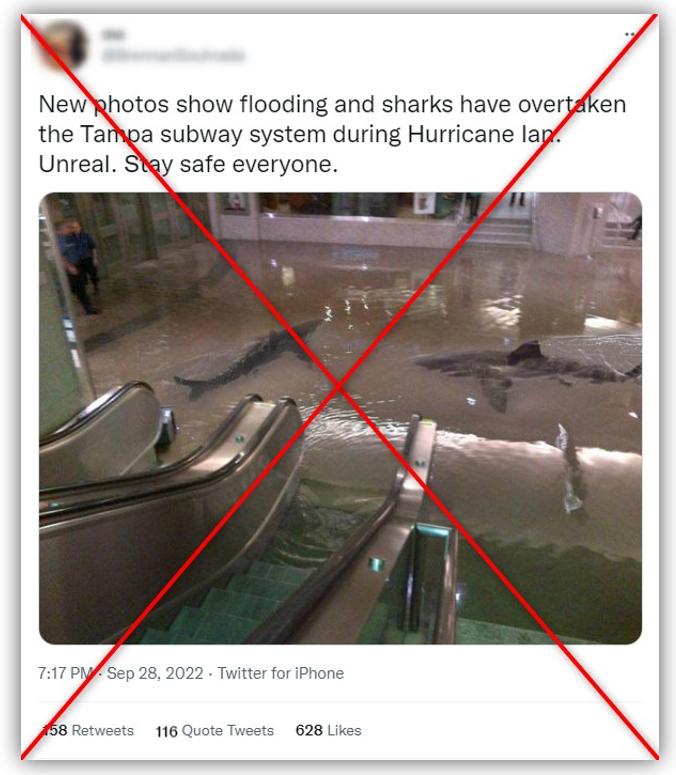 Hurricane Sandy Sharks In Subway
