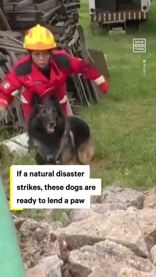NowThis on Twitter: NowThis on Twitter: