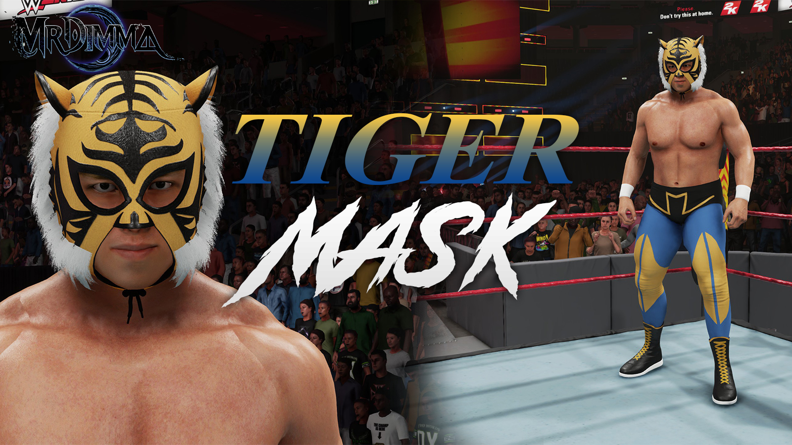Tiger Mask Wrestler