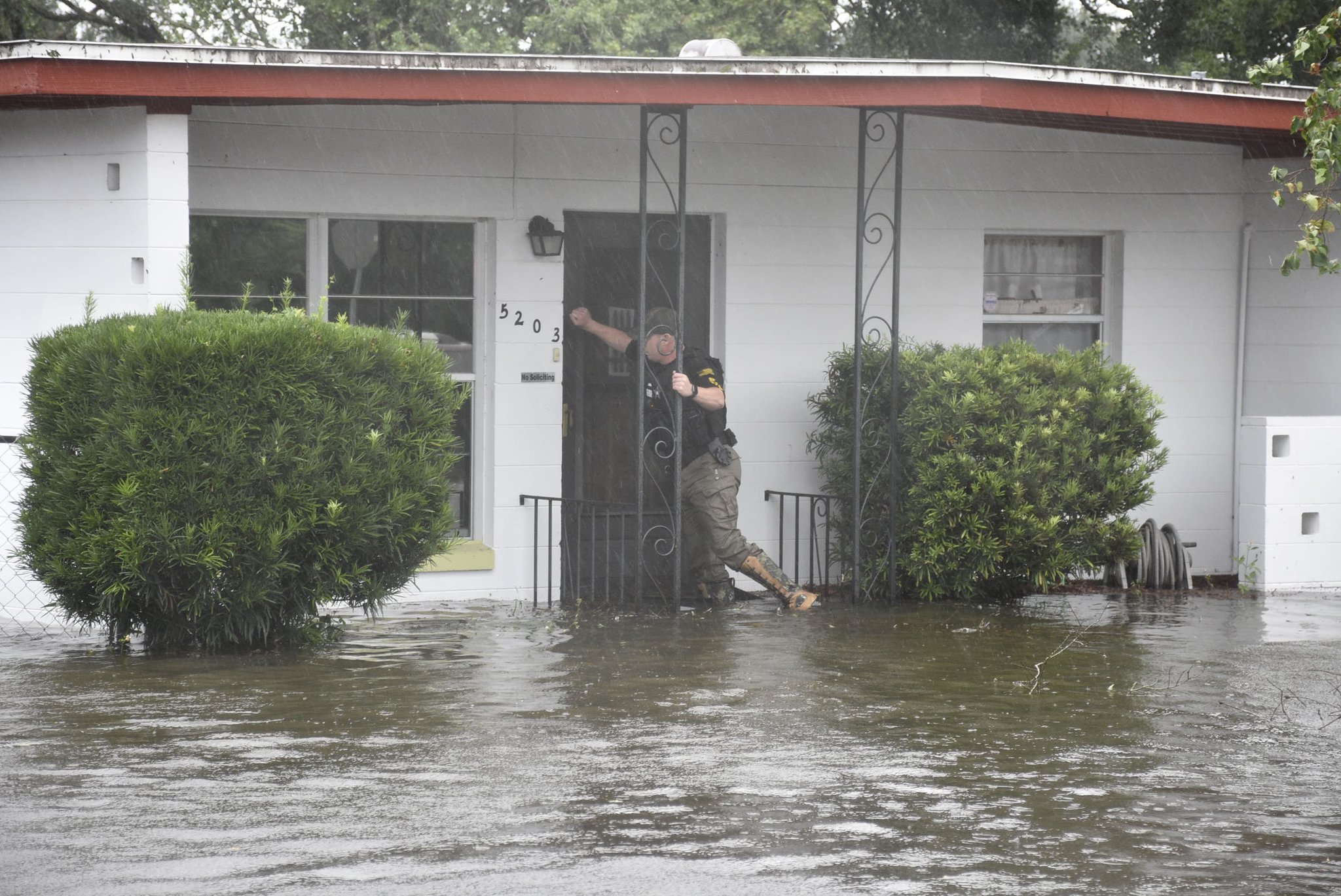 Orange County Sheriff's Office on Twitter: Orange County Sheriff's Office on Twitter: