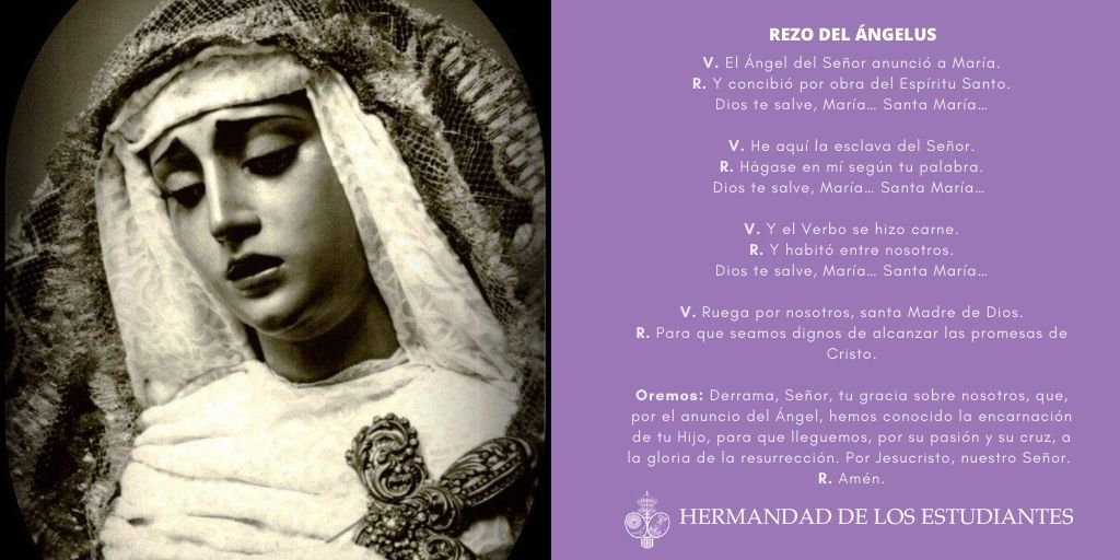 HermandadEstudiantes on Twitter: HermandadEstudiantes on Twitter:
