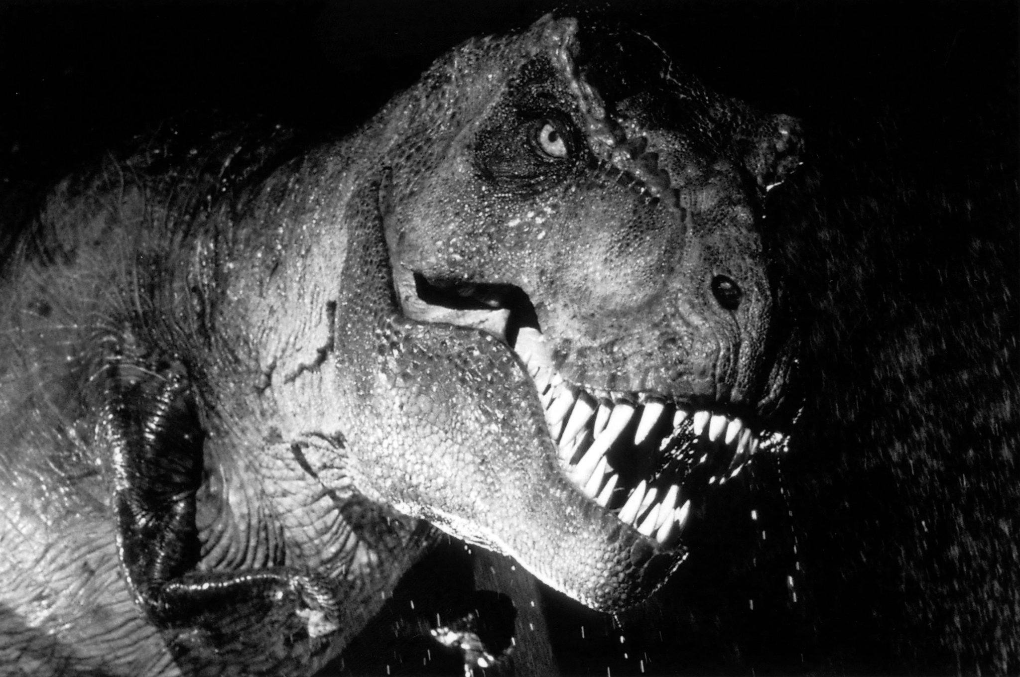 The Spielberg Vault On Twitter Jurassic Park From Filmfest Jurassicpark