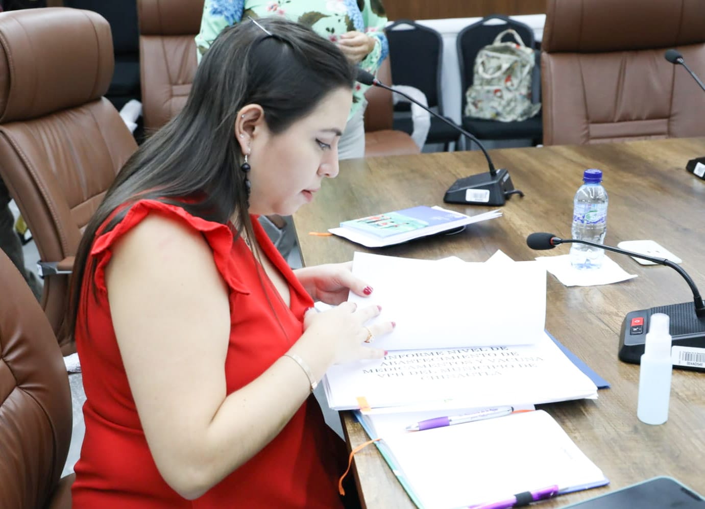 Congreso Guatemala on Twitter: "La diputada Andrea Villagrán, se reúne con el director del Área ...