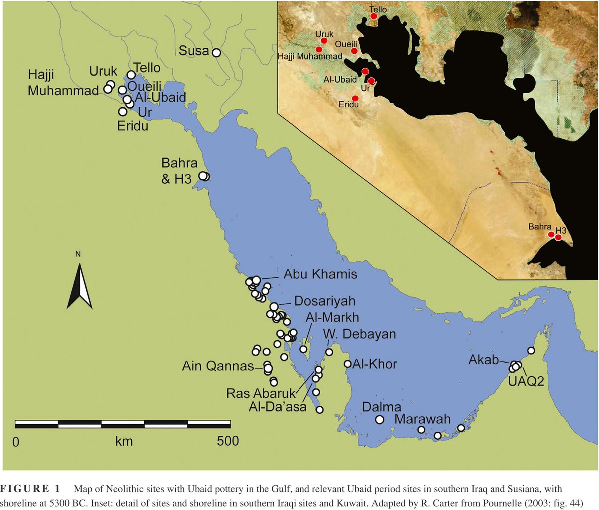 صيادو لاقطو الجزيرة العربية المشار إليهم بدراسة Almarri لهم وجود فعلي ...