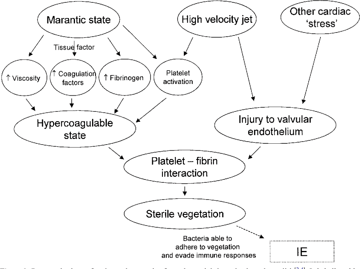 A previously healthy 48-year-old man 👉acute onset of pain in both ...