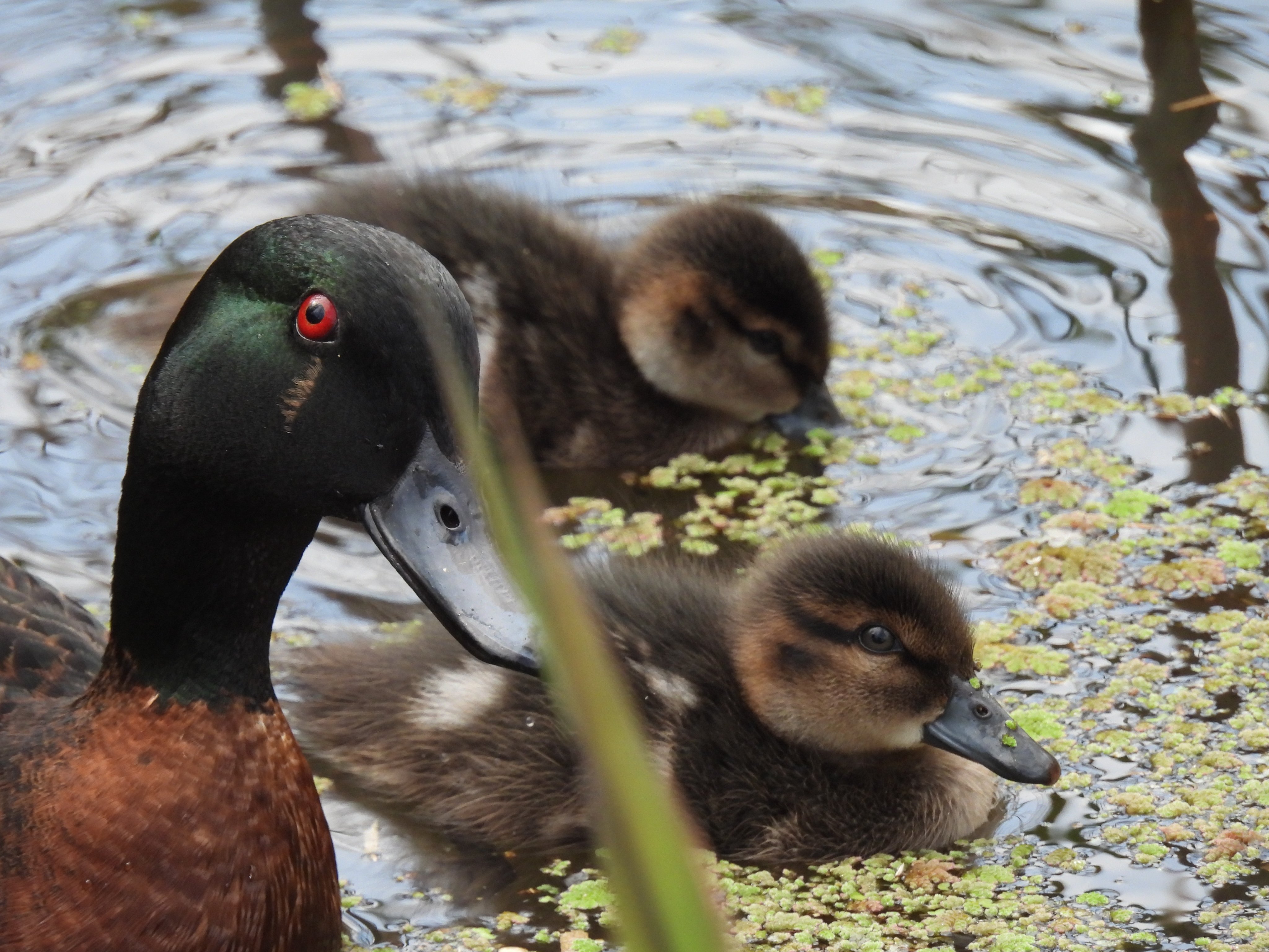 Sean Dooley (@Twitchathon) / Twitter