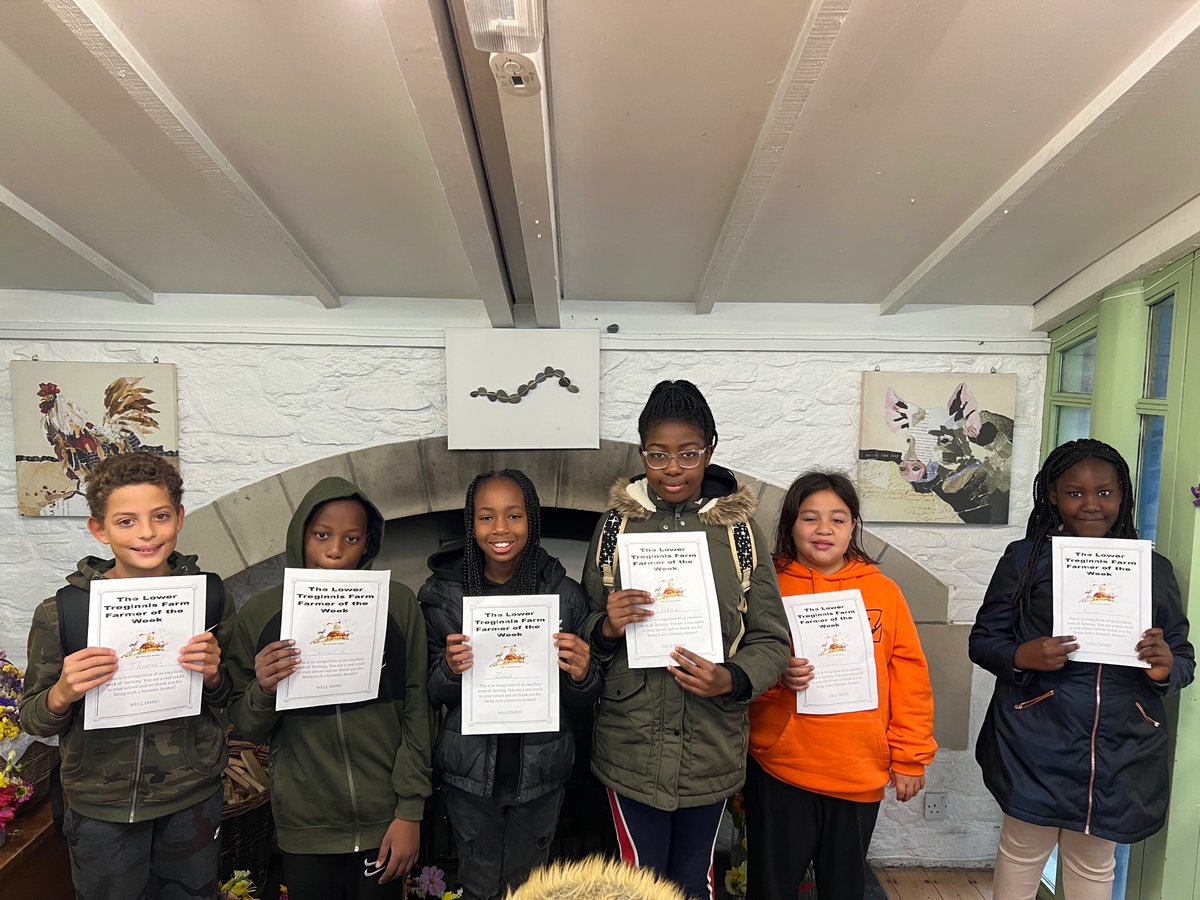 Welcome to Harris Primary Academy Coleraine Park