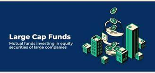 Mutual Fund Analyser Series- Are Large Cap Active Funds Underperforming ...
