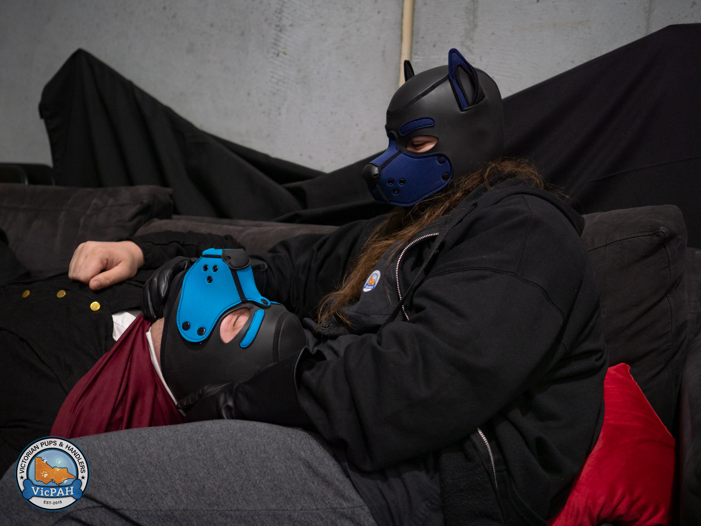 VicPAH on Twitter: "September Mosh Photos https://t.co/bElBsrFsft" / Twitter