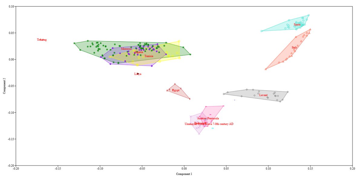 Analysis and beakdown of the collected 🇲🇦🇩🇿🇹🇳 samples - Thread from ...