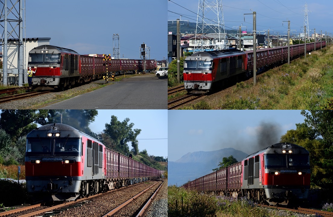 はちいちごう on Twitter: "本日の80ﾚはDF200-3号機😍 士幌臨下り8055ﾚDF200-115号機・下り9078ﾚ～8054ﾚDF200-60号機😻 3059ﾚDF200 ...