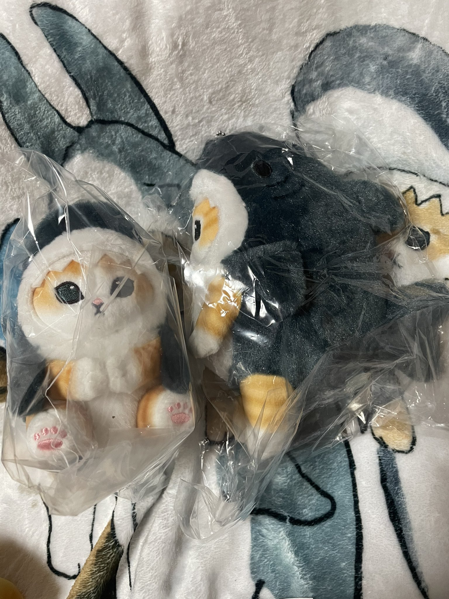 ぢゅの🐈 on Twitter: "@akemi_1220pg4 @mofusand_market わー。ありがとうございます😽 " / Twitter