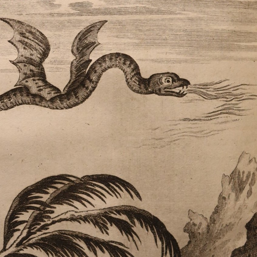 Half Dragon Half Snake