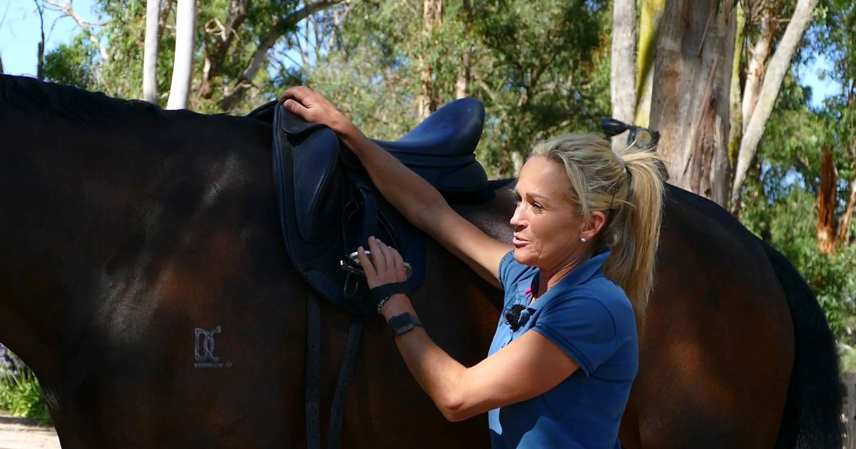 The FEI on Twitter: "Get you know your saddle (and yourself) better! 🐴 The experts at ...