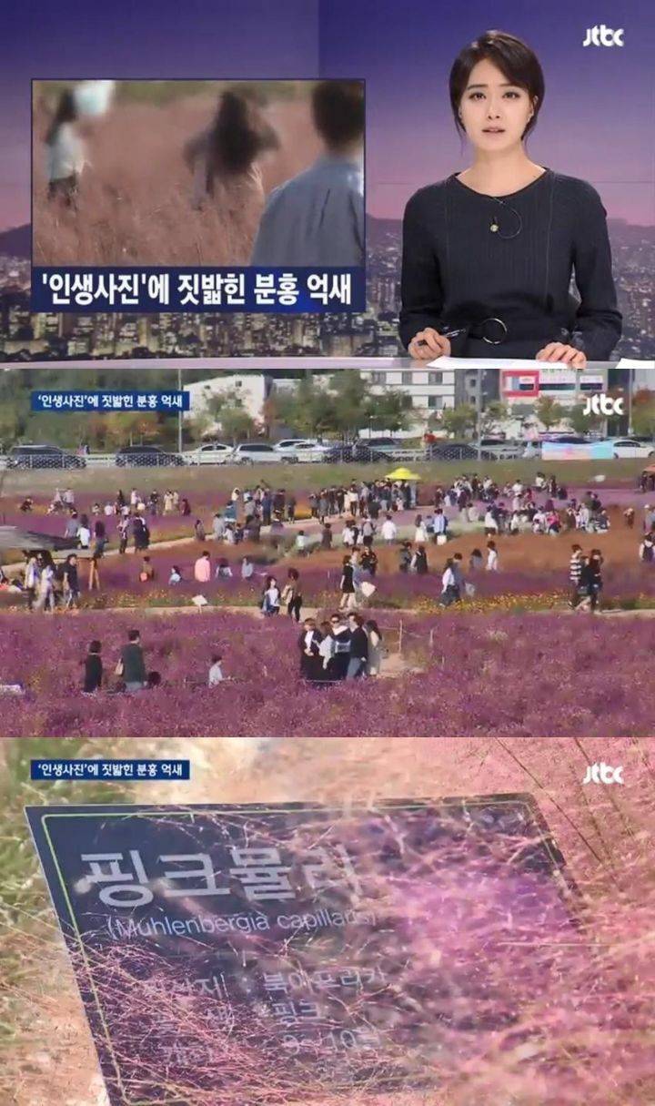 인스티즈(instiz) on Twitter: "인생샷과 바꿔먹은 개념 레전드 (링크에 더있어요👉) https://t.co/vy1hZbFt7v https://t.co ...