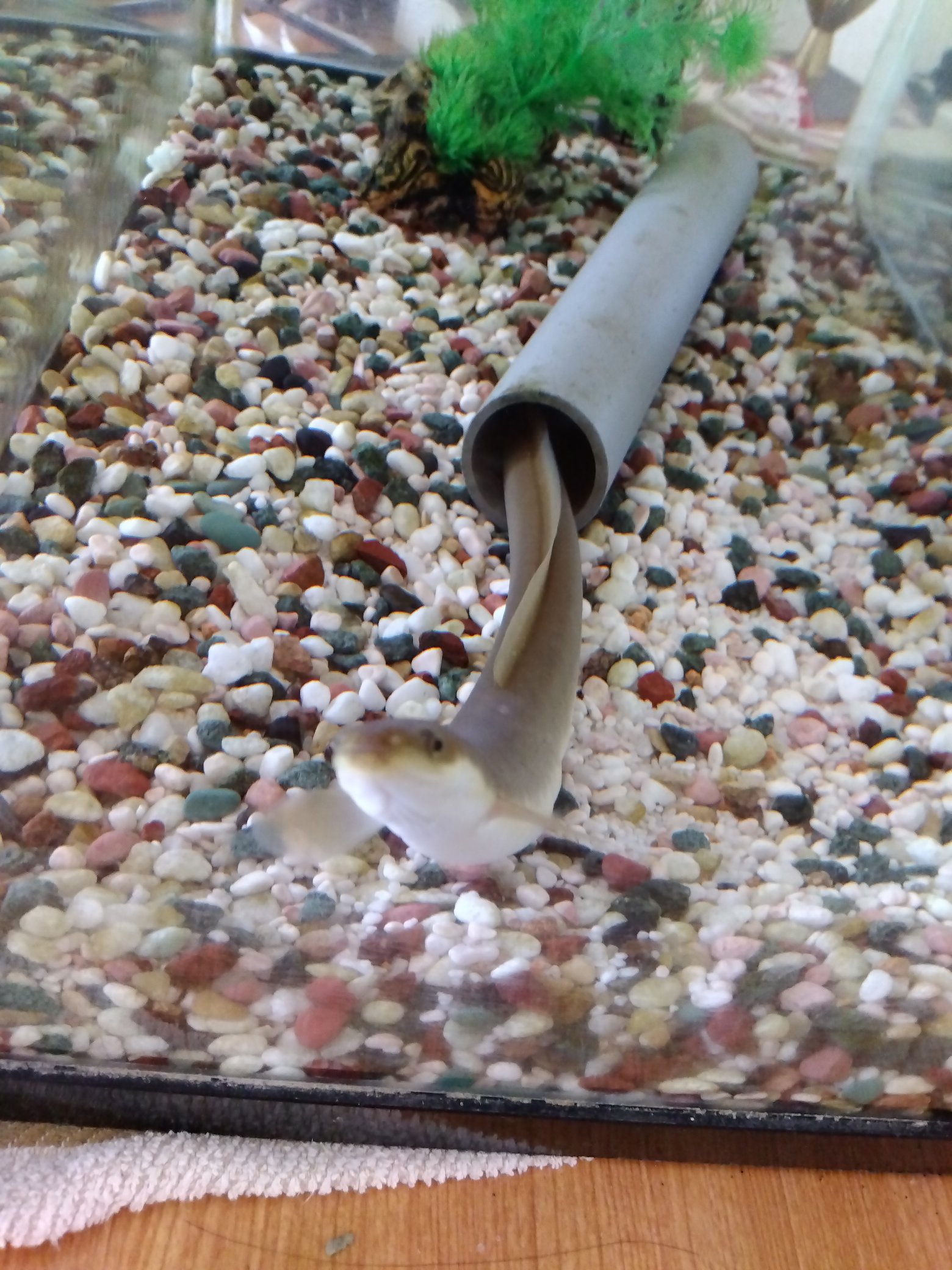 aito (@aito58367108) / Twitter