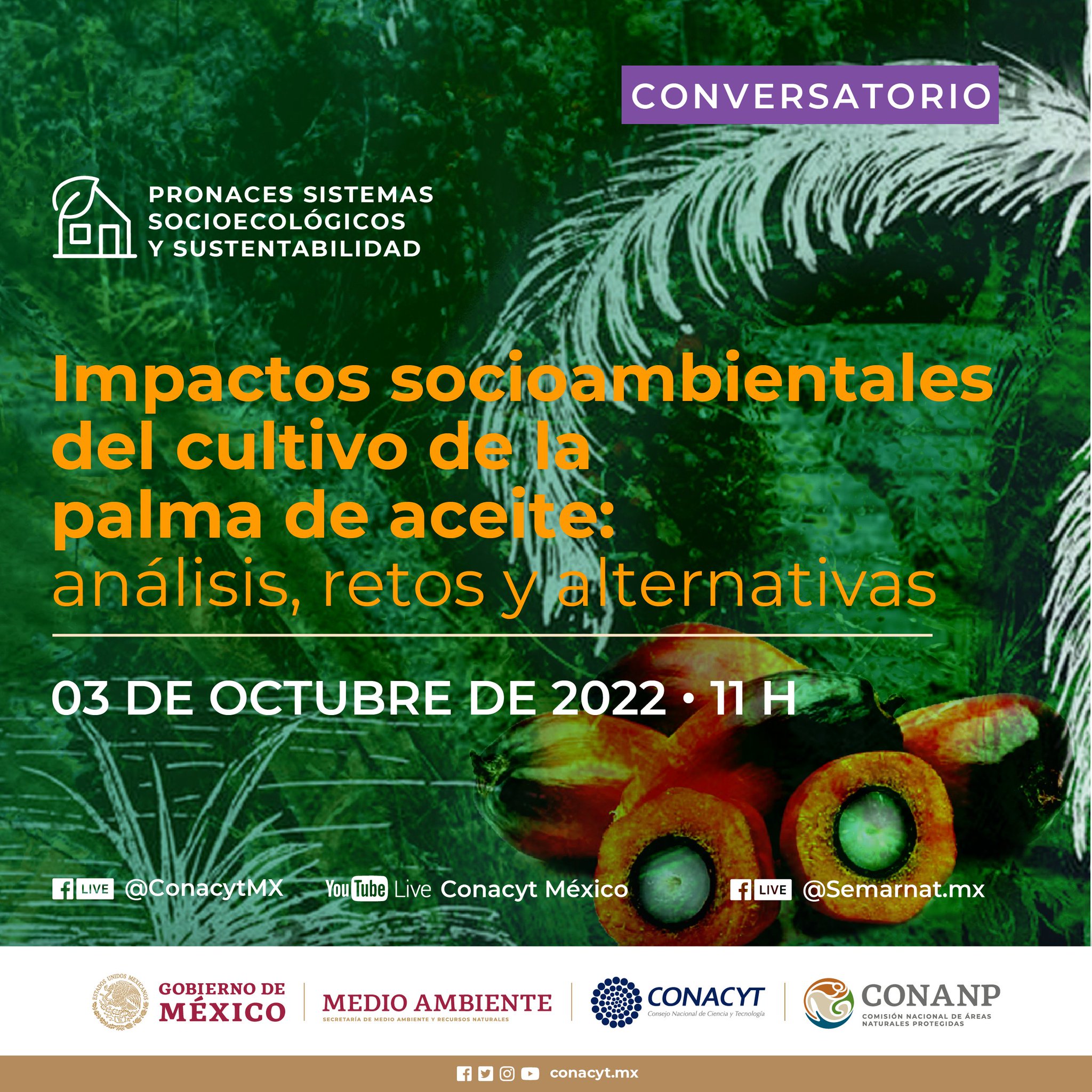 Conacyt México on Twitter: Conacyt México on Twitter: