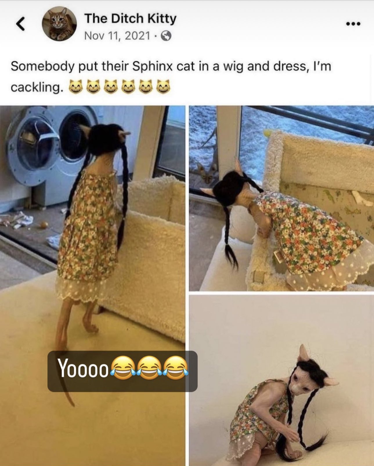 Hoodville on Twitter: "Hell nah https://t.co/IbsBP7eIXz" / Twitter