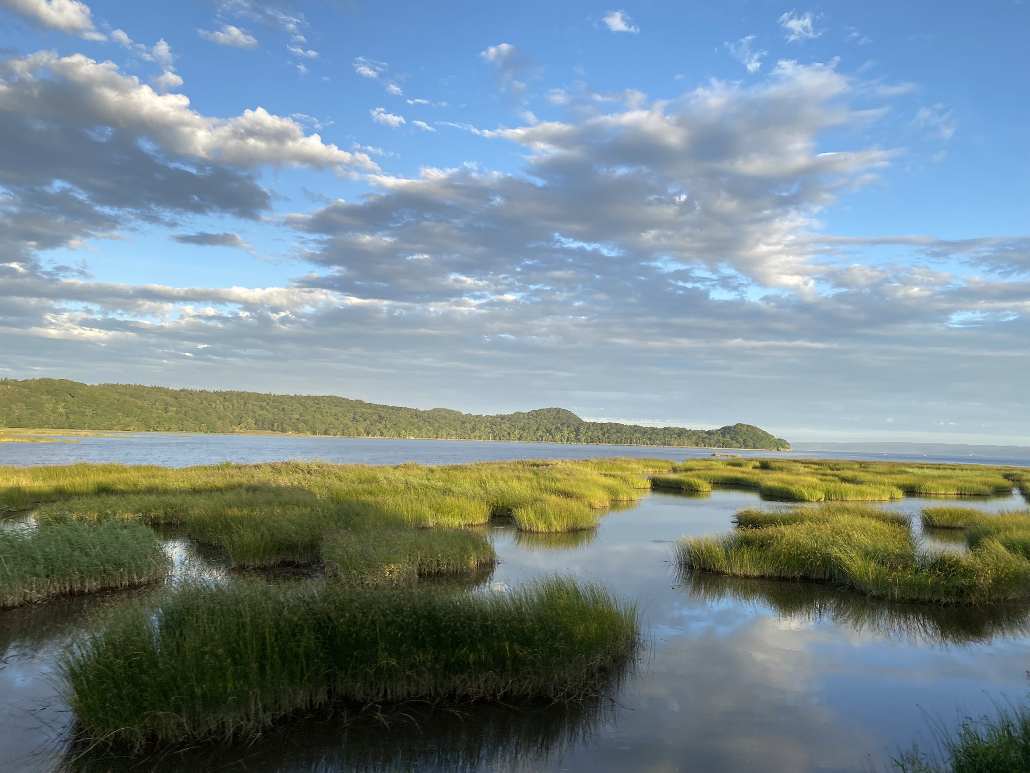 FNNプライムオンライン on Twitter: "北海道で最も長い路線の東端に、まるでアニメのような景色の中を走る列車がある。 JR根室本線（滝川～根室）のうち、釧路駅と根室駅を結ぶ135 ...