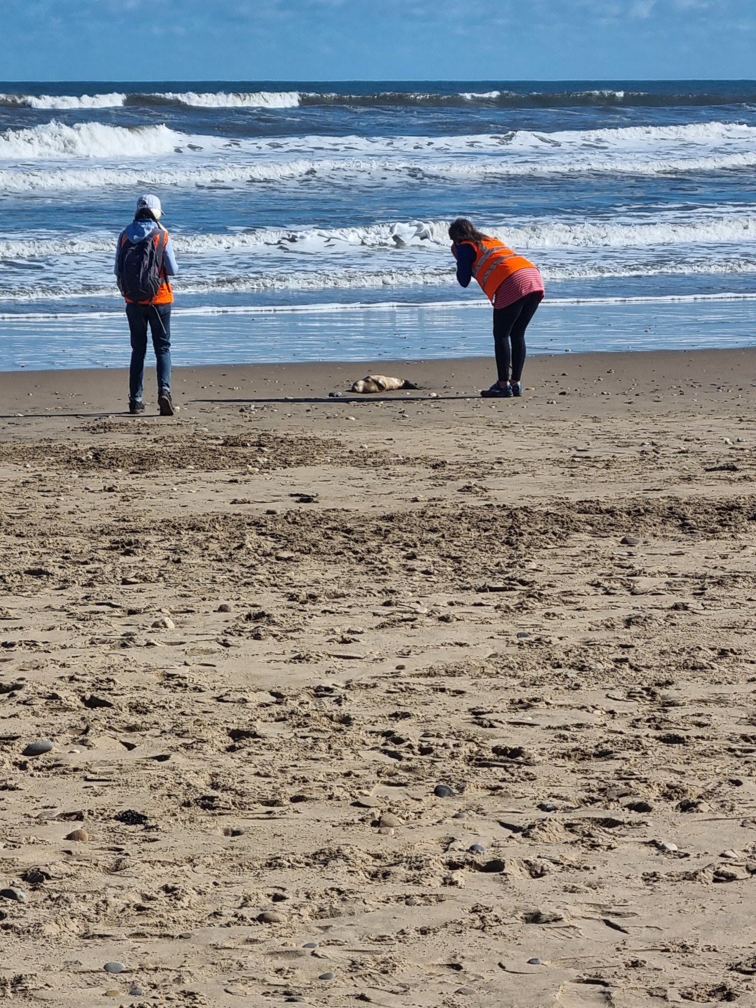 Douglas Mcfarlane (@DougMcfarlane59) / Twitter