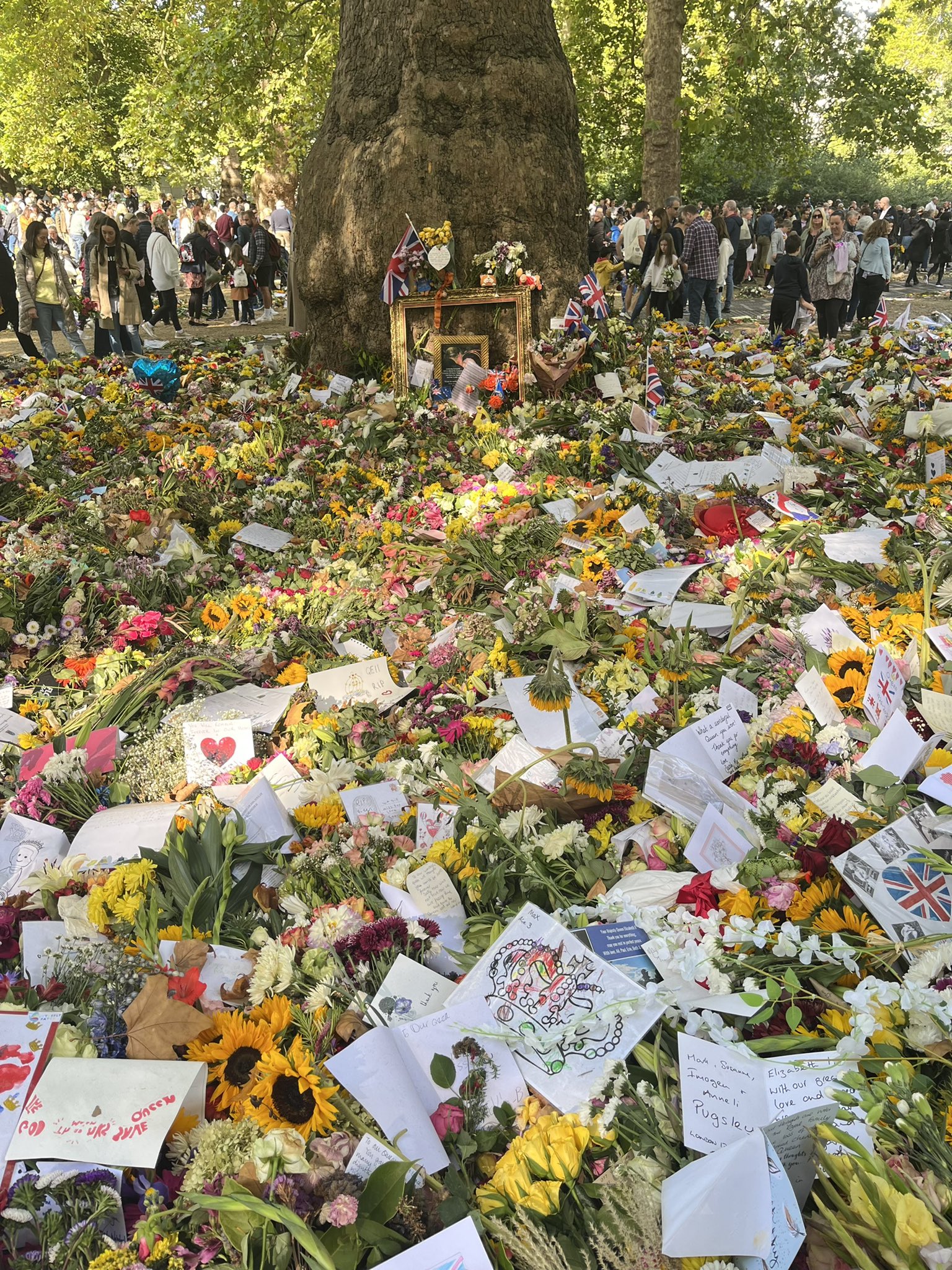 Ms Glitters (@ms_glitters) / Twitter