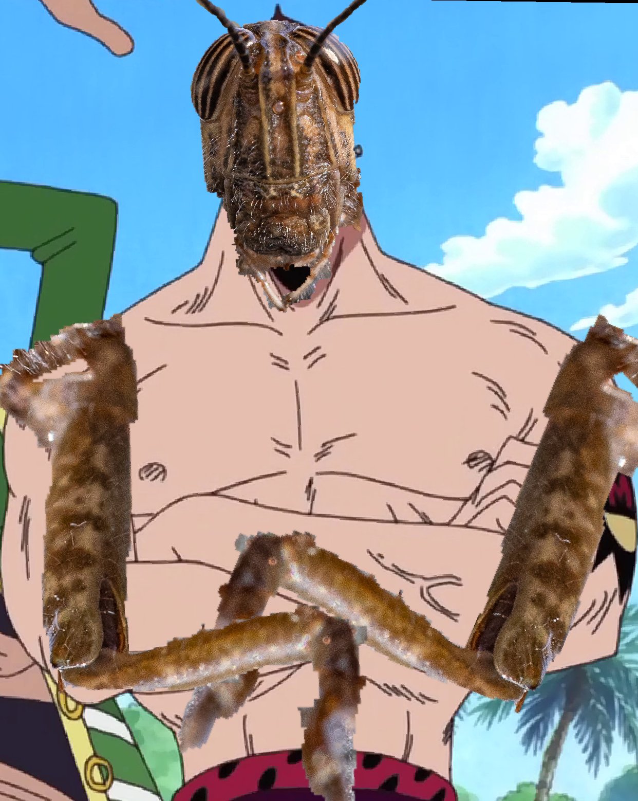 MonkeyDdragon (@MonkeyDfruit) / Twitter