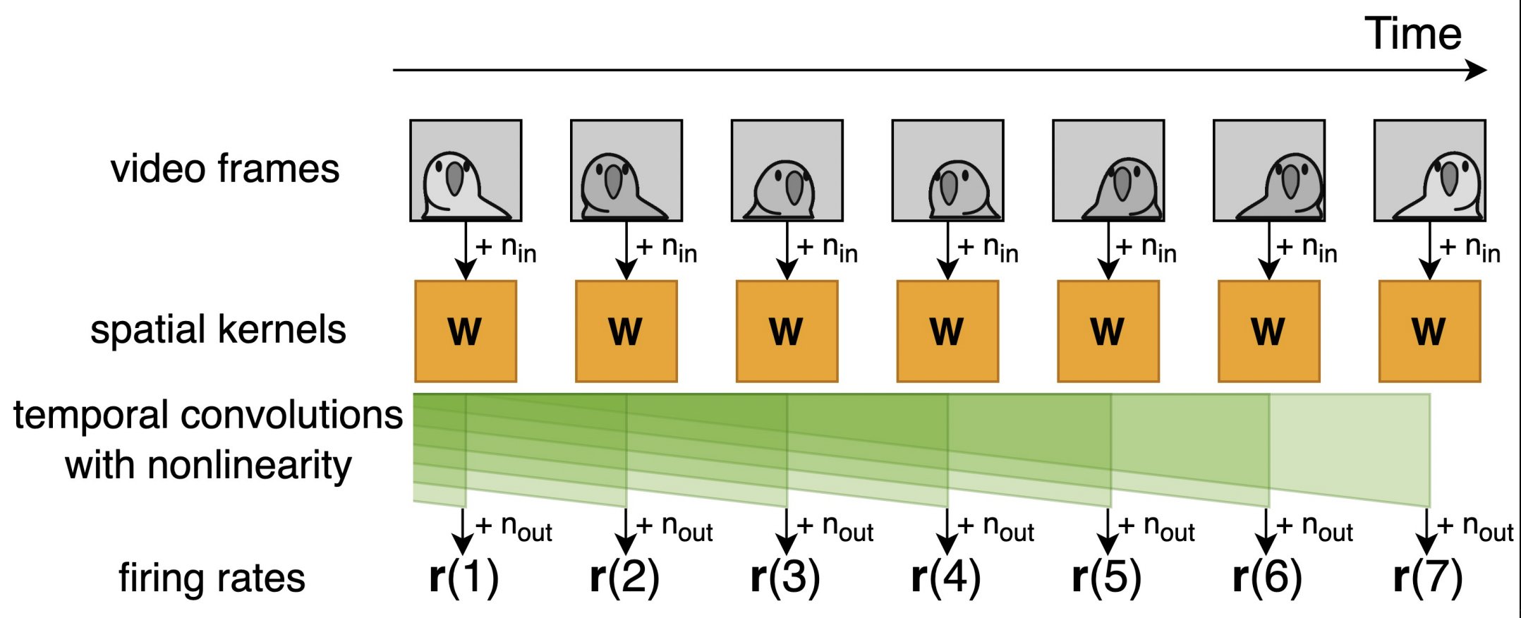 Nayoung Jun on Twitter: "Why do we need SO many cell types in the retina? Efficient coding ...