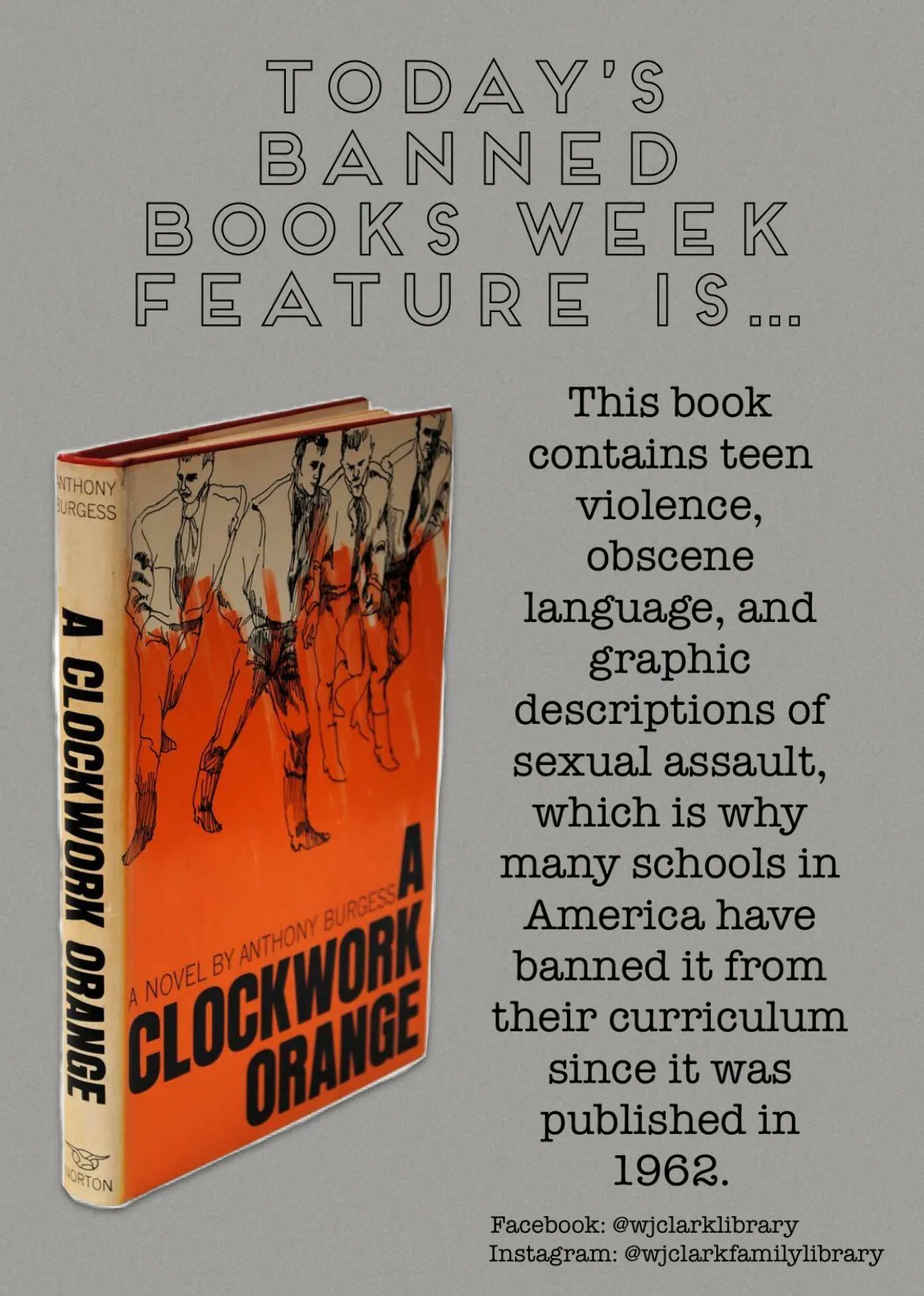 Clockwork Orange A Graphic Novel