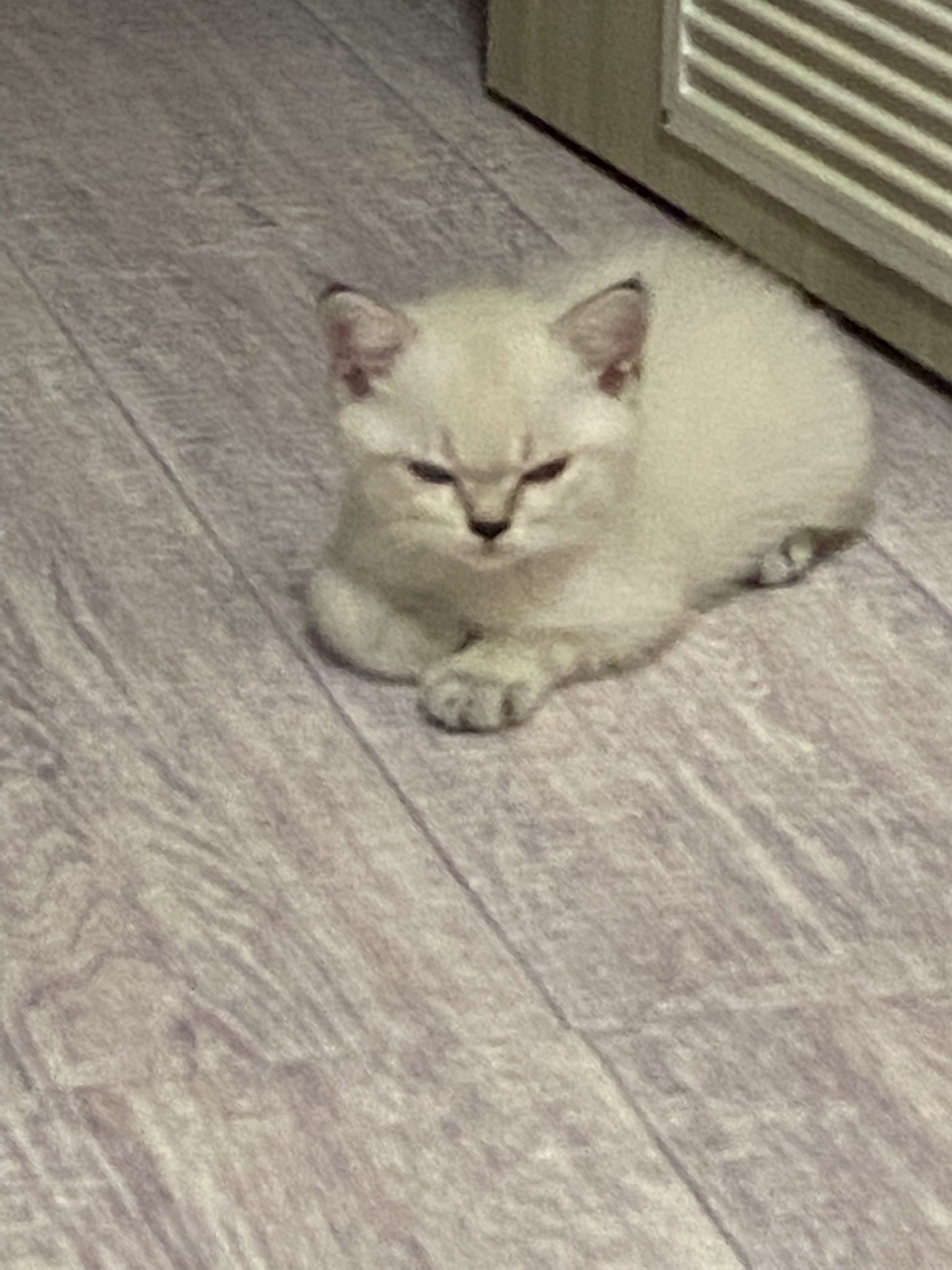 ВЗРОСЛЫЙ КОНТЕНТ On Twitter Rt Dendanben123 Я ЕГО РАЗБУДИЛ СПАСИТЕ