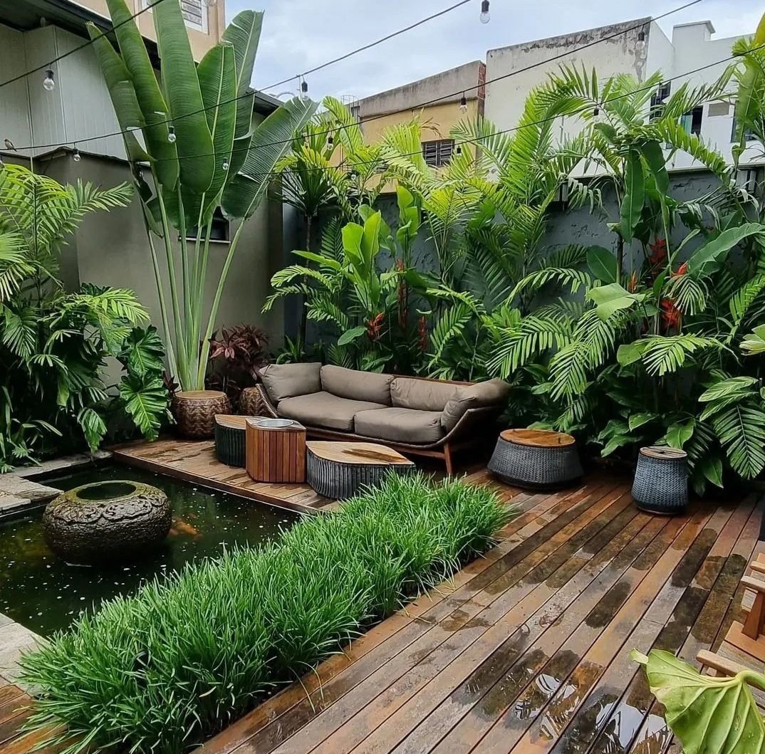 Houseplant Hobbyist On Twitter Patio Goals houseplant-hobbyist-on-twitter-patio-goals