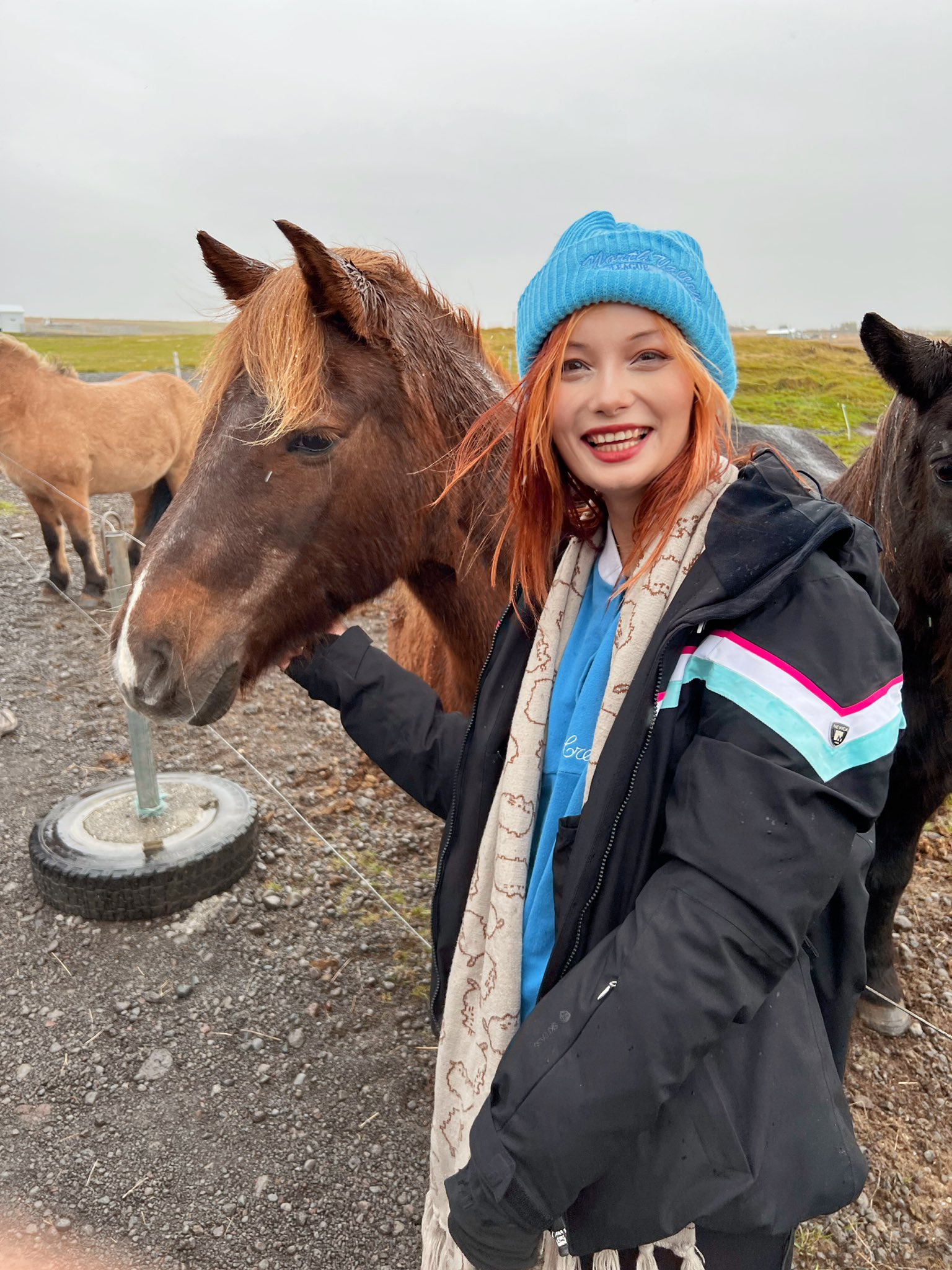 TW Pornstars - 2 pic. Pixiecat ≧ ≦ *:. . Twitter. I thought some of you would appreciate these ...