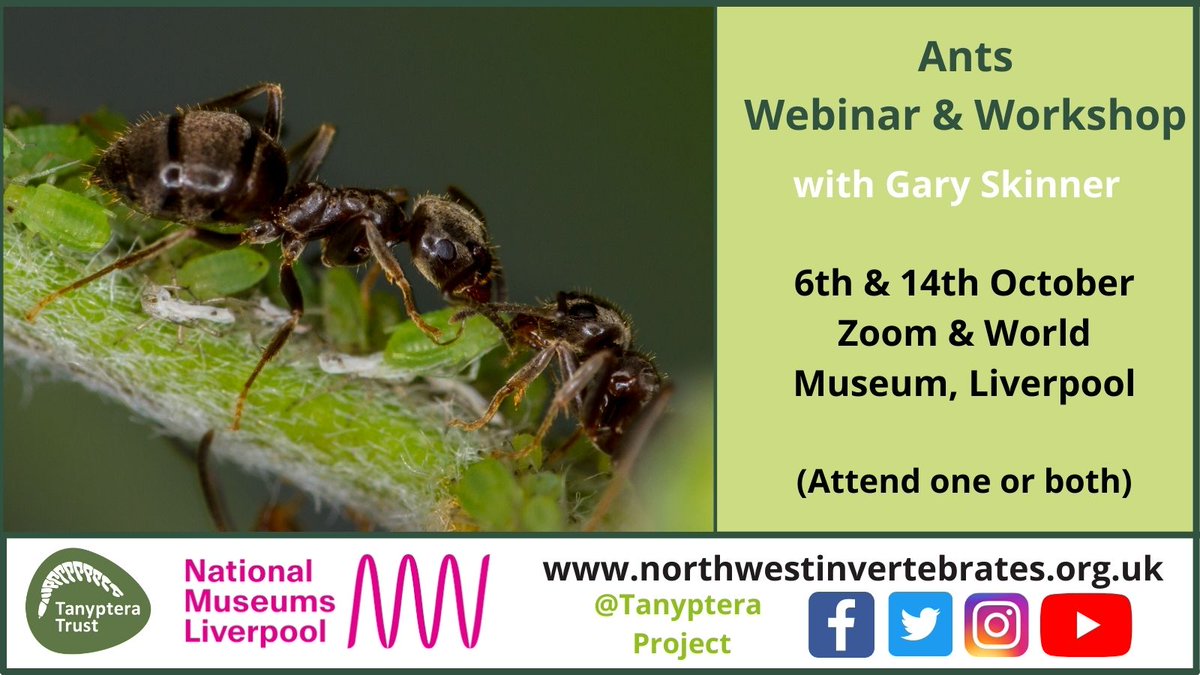 Welcome - North West Invertebrates