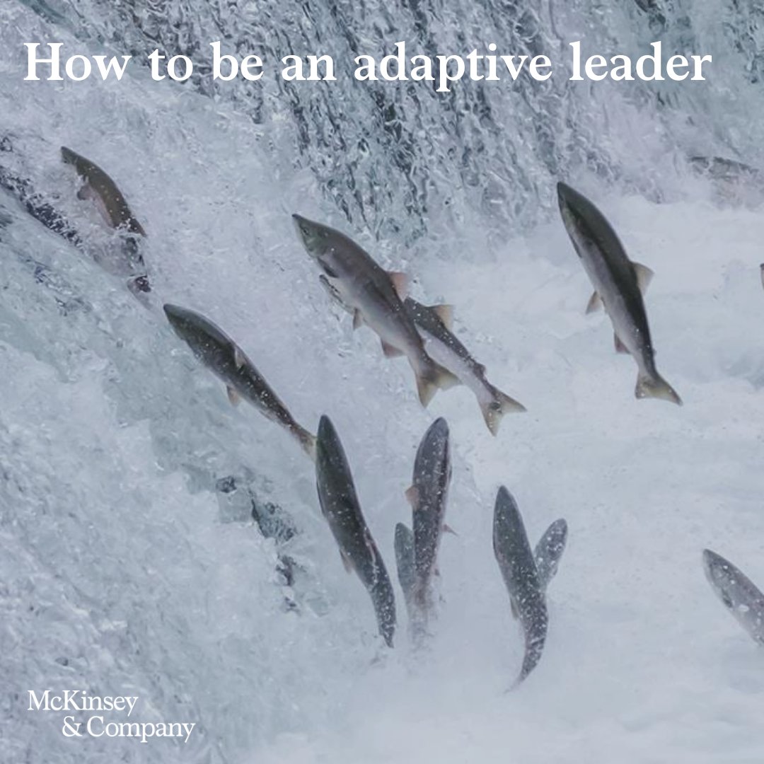 McKinsey & Company on Twitter: "Are you an adaptive leader? Explore these insights on ways ...