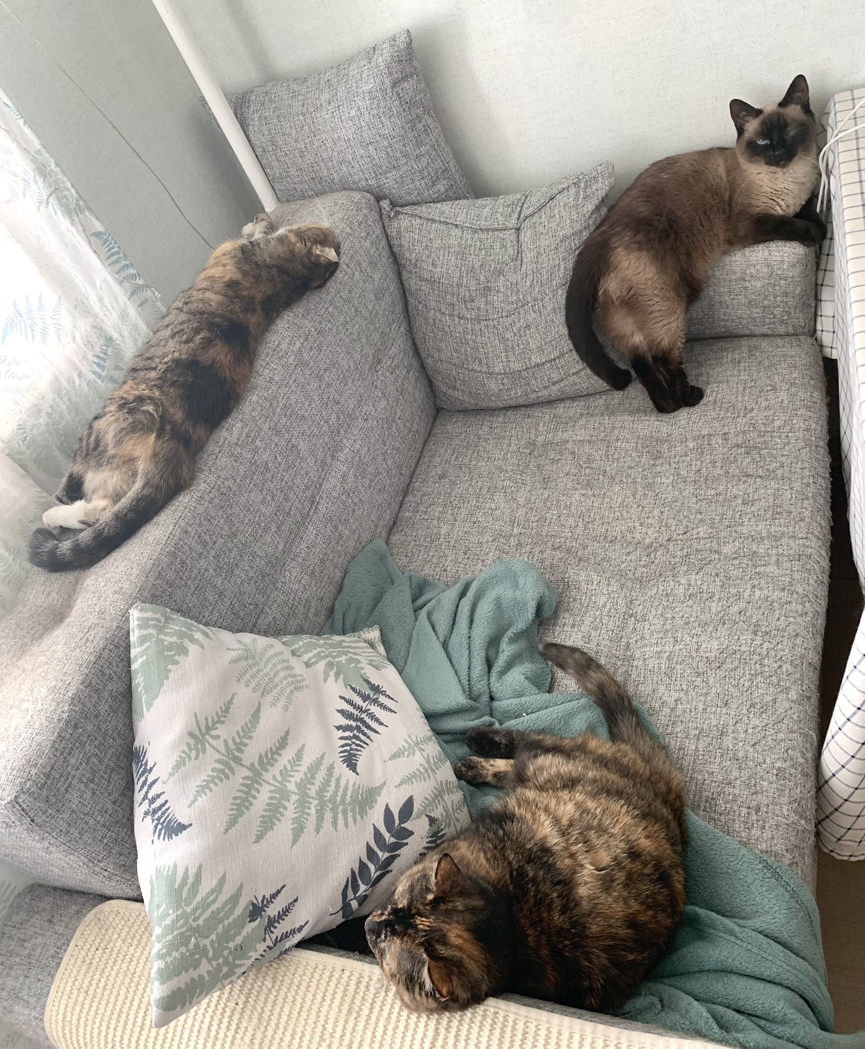 ВЗРОСЛЫЙ КОНТЕНТ On Twitter Rt Vzrosly Content Feverevil Пользуясь возможностью поделюсь