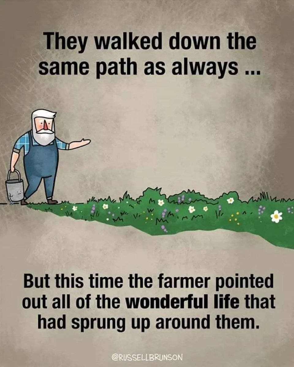 Why do we struggle with the concept of being flawed? A Farmer Story ...