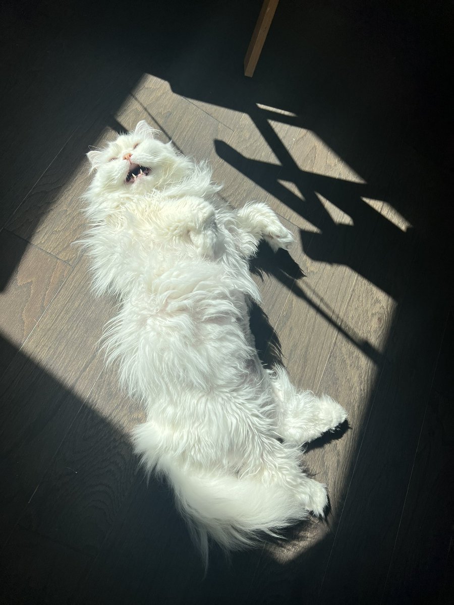 In light of all the Austin streamer drama, I just want to post pictures ...