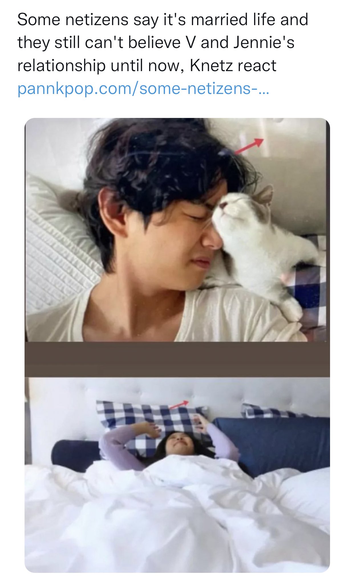 notpannchoa/notpannkpop/notnetizenbuzz on Twitter: "[ notpannkpop ] Some netizens say it's ...