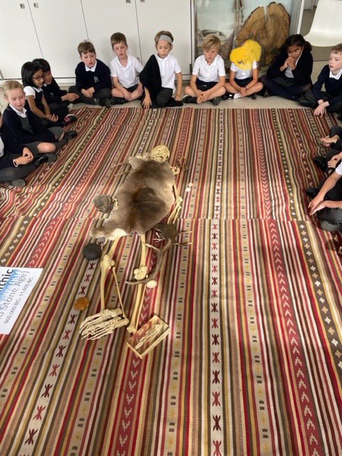 Home - Heber Primary School