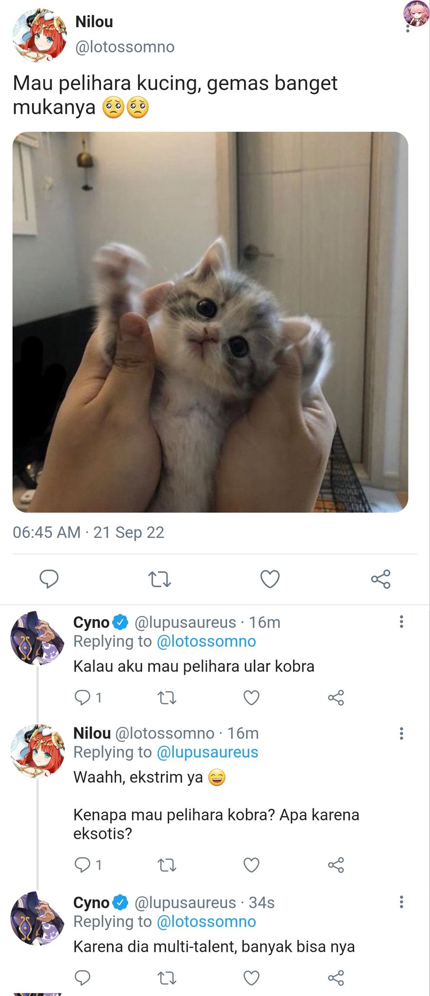 GABUNG KOMUNITAS FANFIC 📌 on Twitter: "au! // bxg ship cylou cynilou cyno x nilou Mau pelihara ...