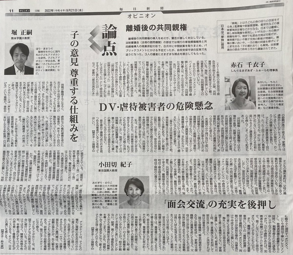 見て歩く者【ファイアバレルのアケアカ化希望】 On Twitter Rt Gamsic 赤石千衣子氏の「現在、面会交流している当事者の多くは、共同親権導入の必要性を感じていない」って
