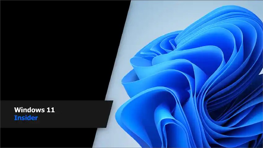 Windows Latest News on Twitter: Windows Latest News on Twitter:
