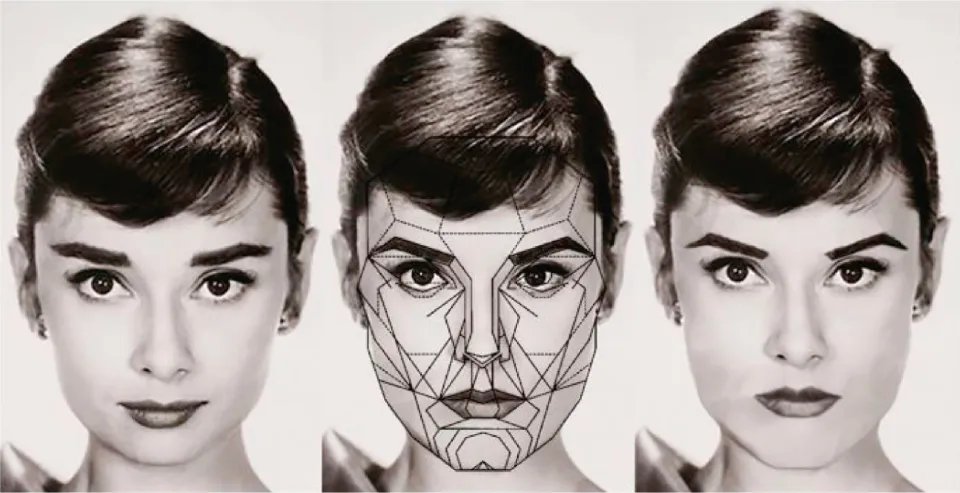 Building on the theme of Facial symmetry... The brain does a fantastic ...