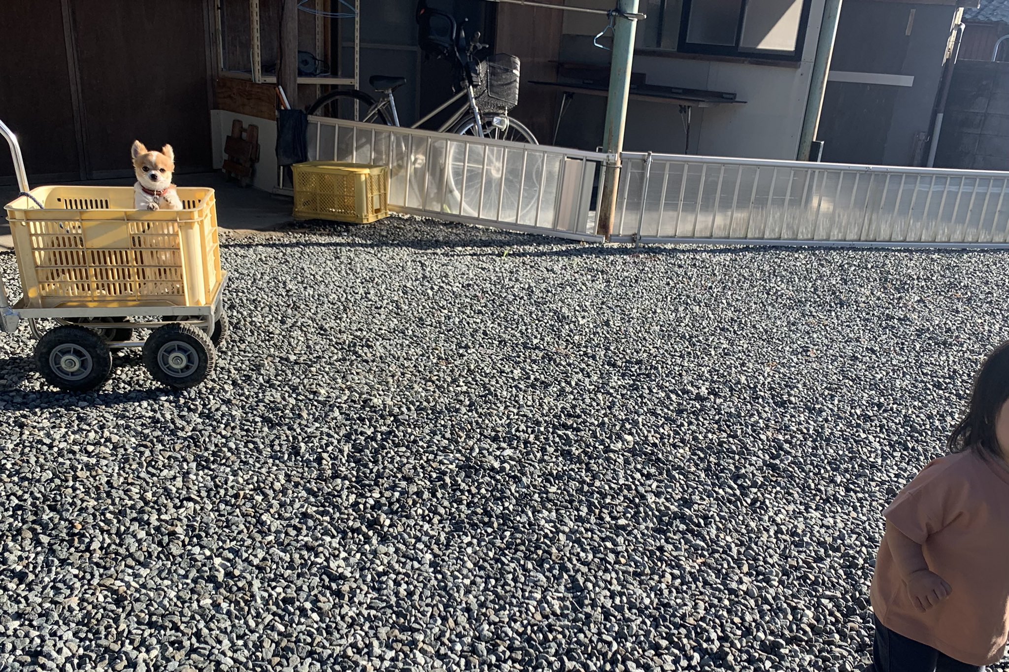 ω・)｢ ｶﾞｵｰ on Twitter: "RT @chiwarwar: https://t.co/EX4O41PCBc" / Twitter