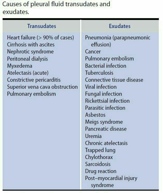 Causes Of Exudative Pleural Effusion
